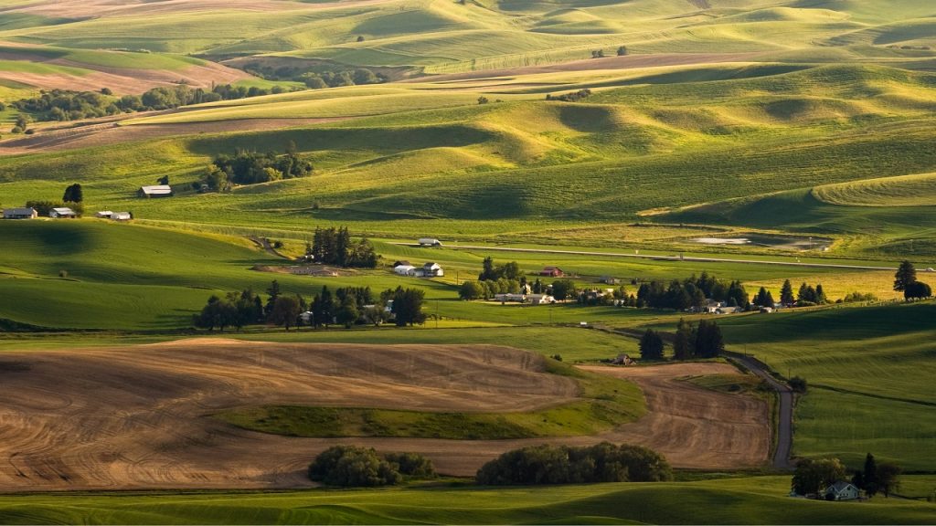 Weekend Express | Pullman to Seattle - Wheatland Express